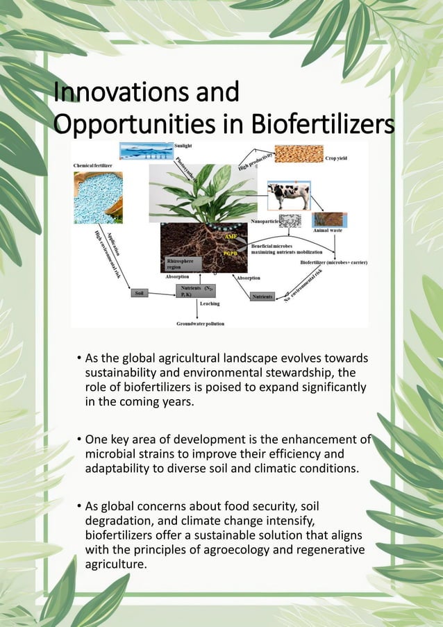 Biofertilizer : Harnessing Nature's Power, Exploring Biofertilizers | PDF | Agriculture | Industries