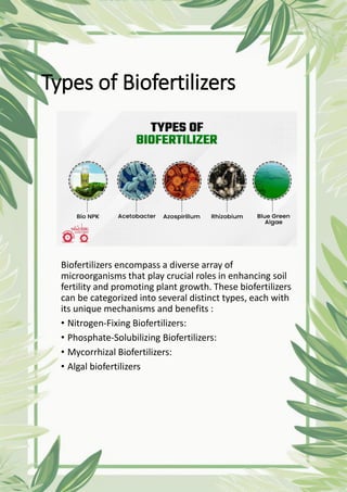 Biofertilizer : Harnessing Nature's Power, Exploring Biofertilizers | PDF