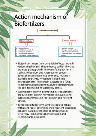 Biofertilizer : Harnessing Nature's Power, Exploring Biofertilizers | PDF