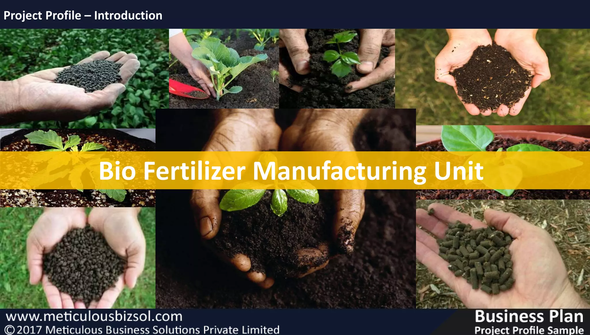 Bio Fertilizer Manufacturing Unit | PPTX