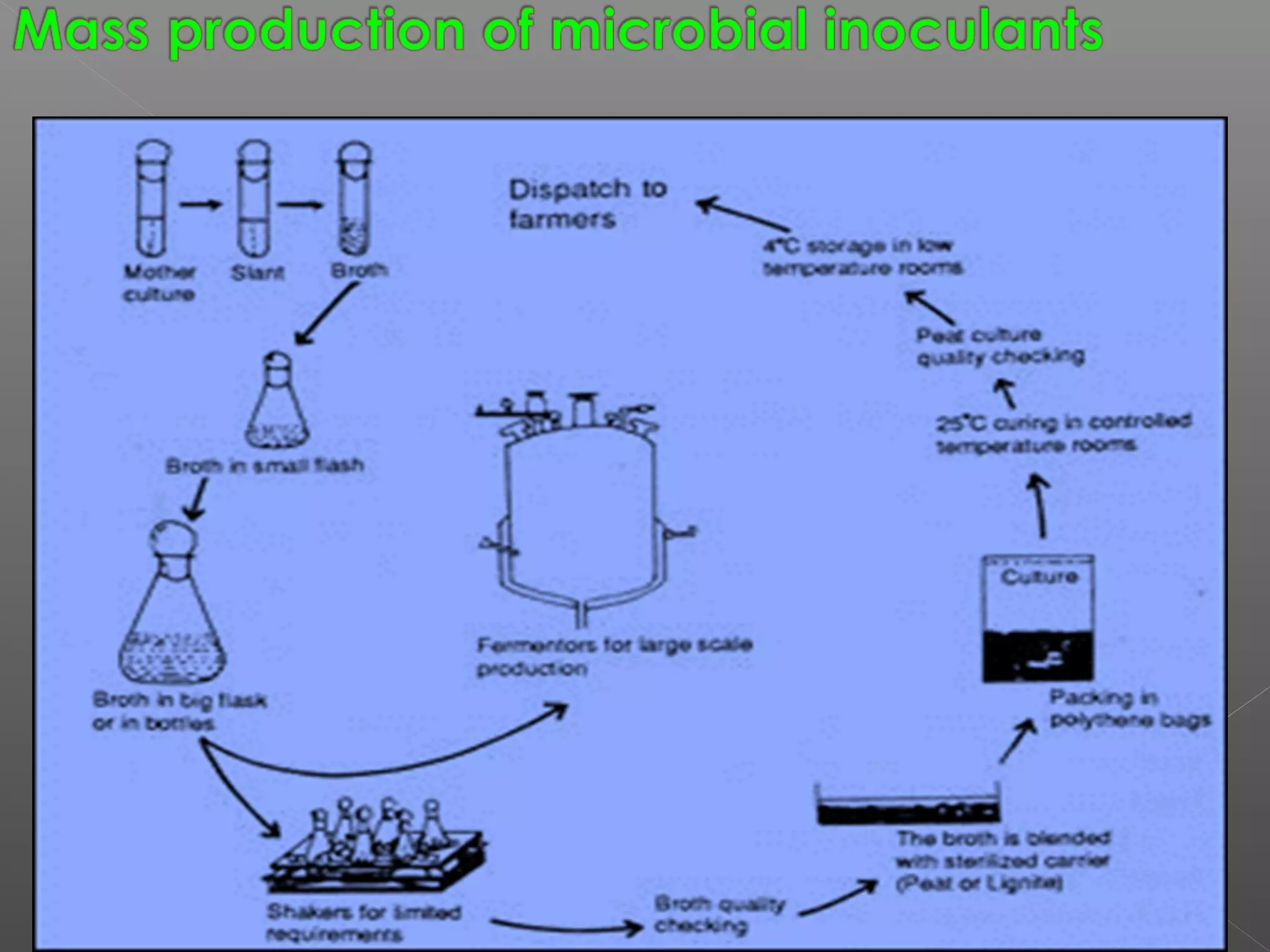 Biofertilizer Technology ppt | PPT