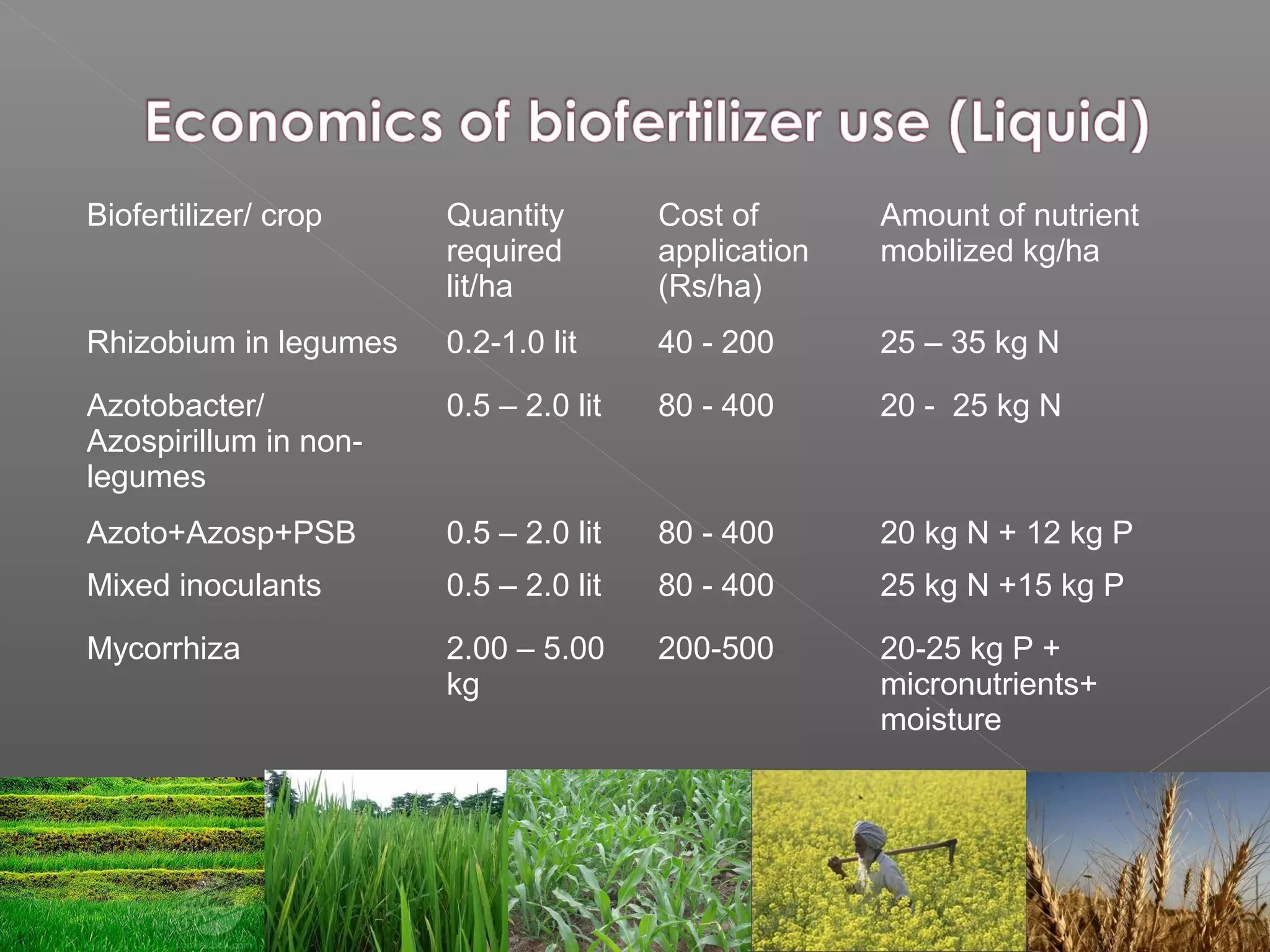 Biofertilizer Technology ppt | PPT