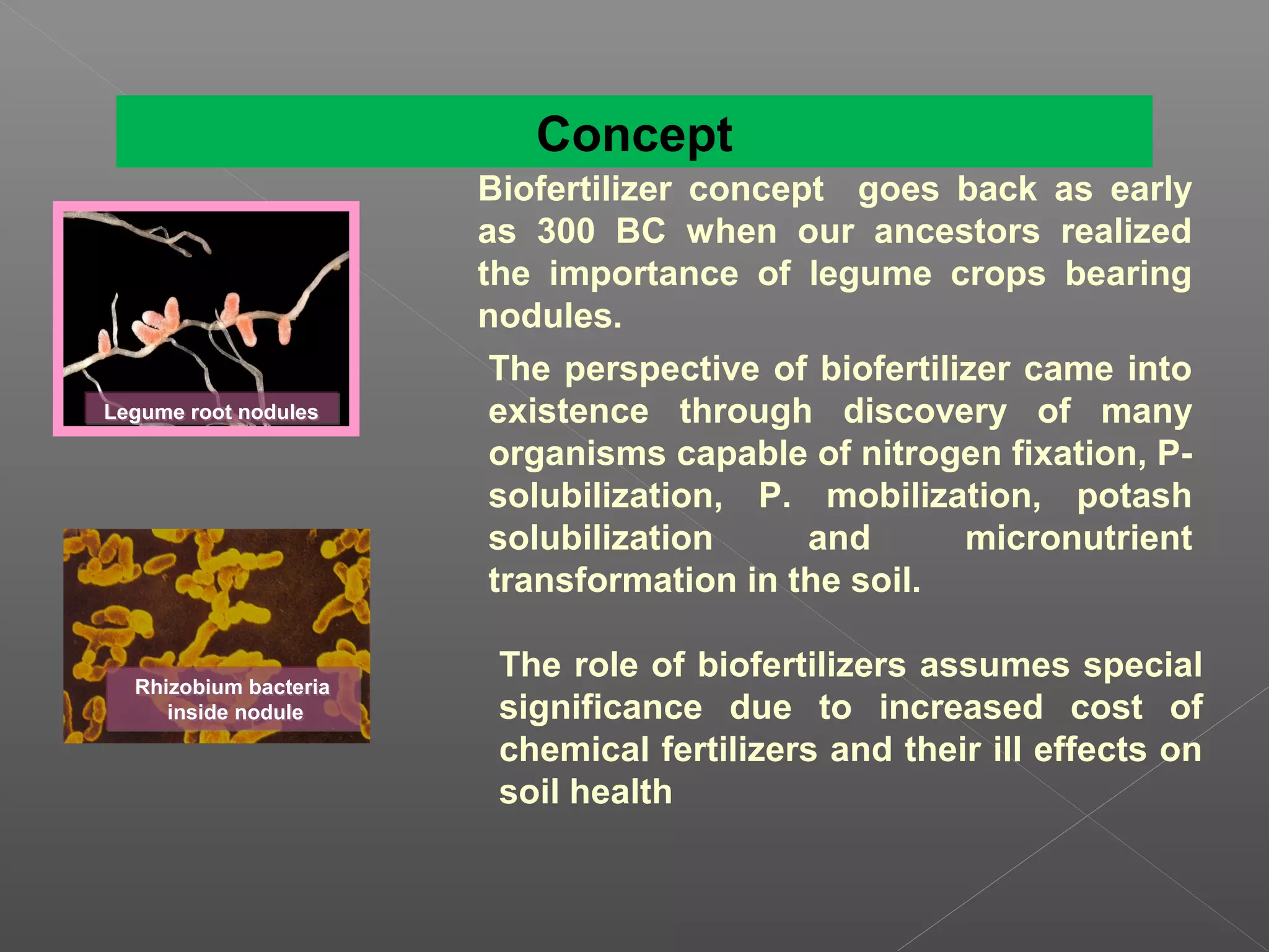 Biofertilizer Technology ppt | PPT