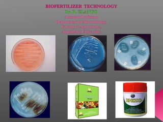 Biofertilizer Technology ppt | PPT