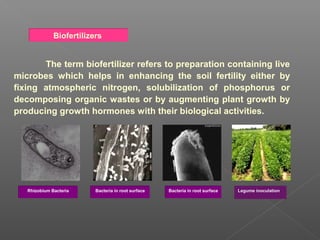 Biofertilizer Technology ppt | PPT