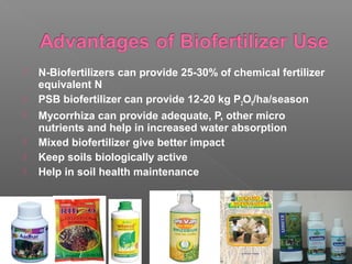 Biofertilizer Technology ppt | PPT