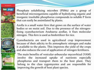 Types of Biofertilizer in Agriculture Sector | PPT
