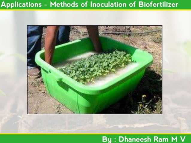 Application and evolution techniques of crop response to bio ...