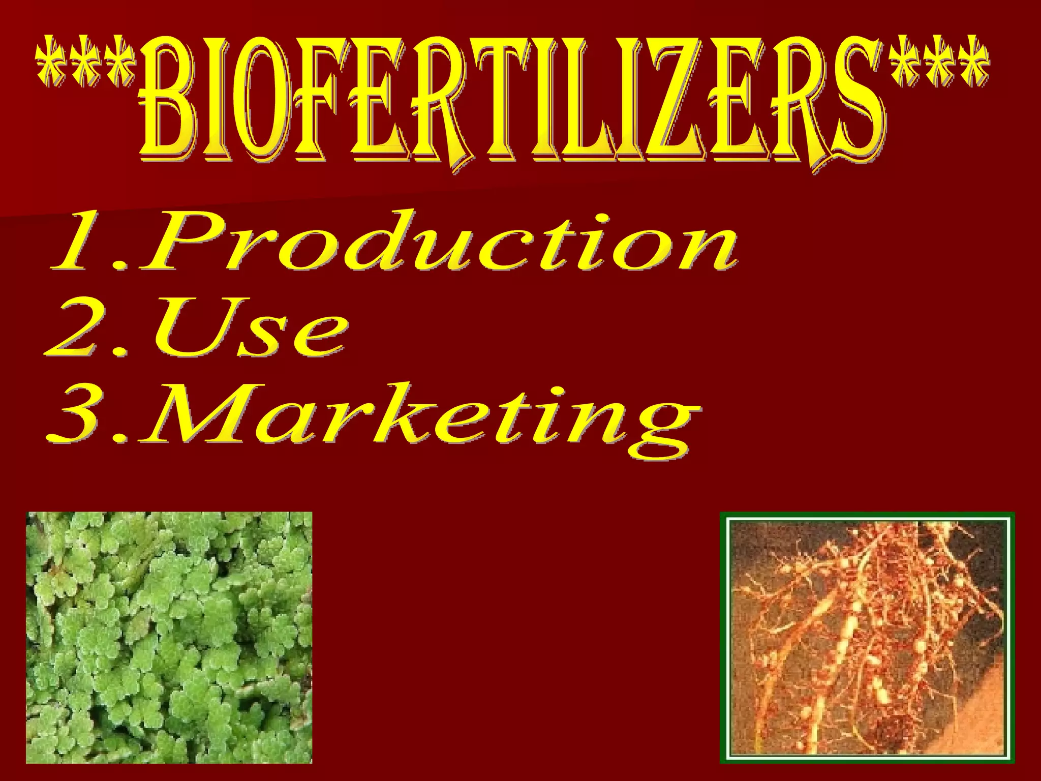 Biofertilizers | PPT