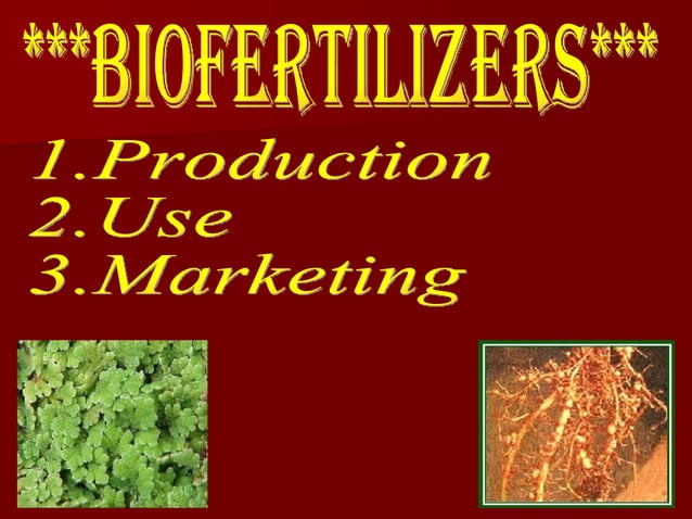 Biofertilizers | PPT