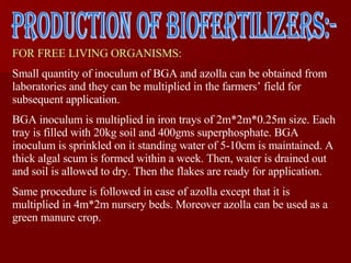 Biofertilizers | PPT