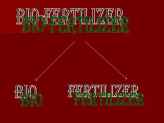 Biofertilizers | PPT
