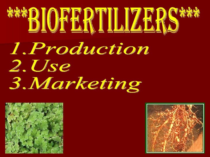 Biofertilizers