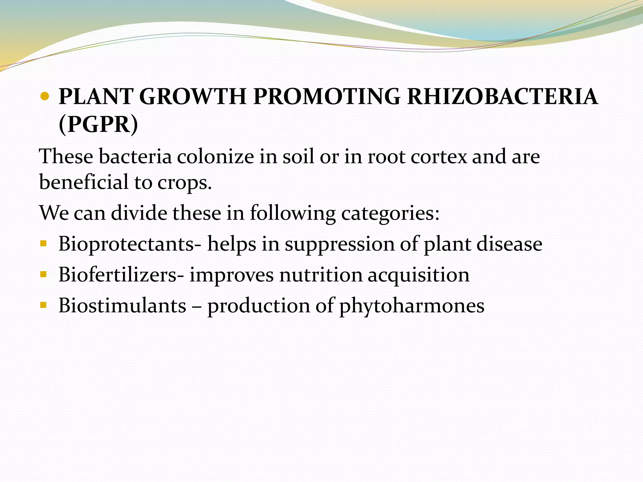 Biofertilizers | PPTX