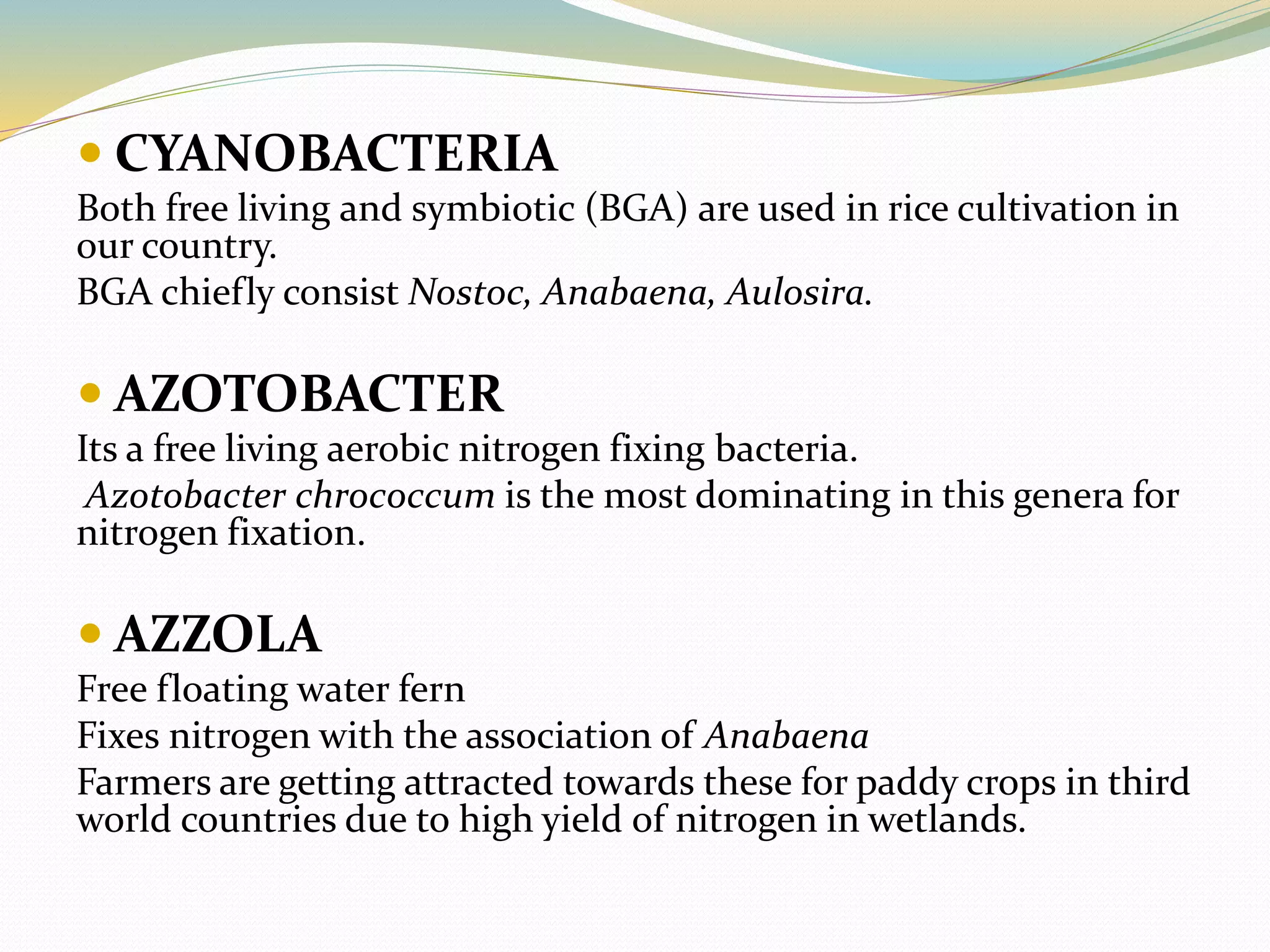 Biofertilizers | PPTX
