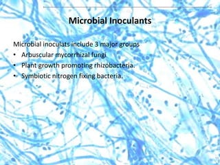 Biofertilizers | PPTX