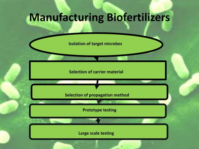 Biofertilizers | PPT