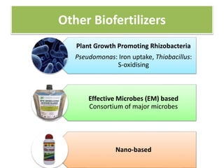 Biofertilizers | PPTX