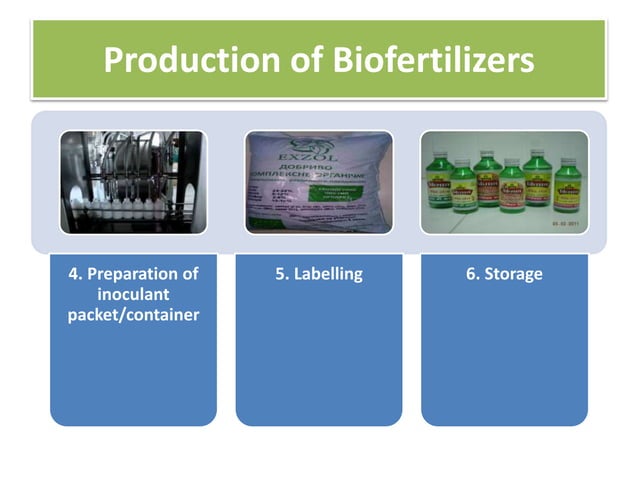 Biofertilizers | PPTX