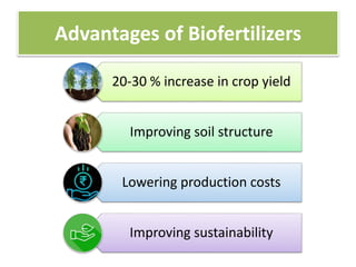 Biofertilizers | PPTX