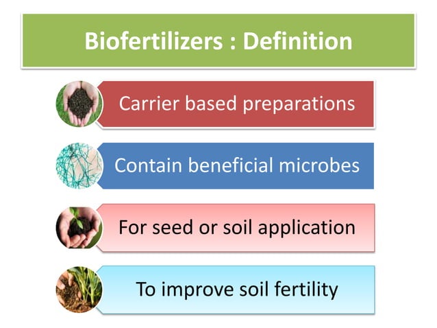 Biofertilizers | PPTX