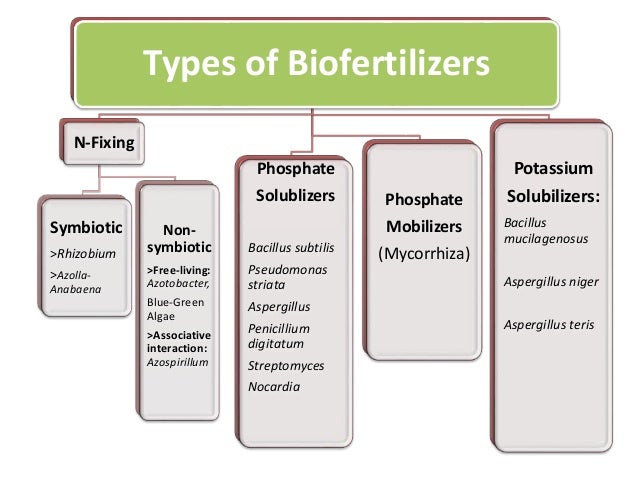 Biofertilizers