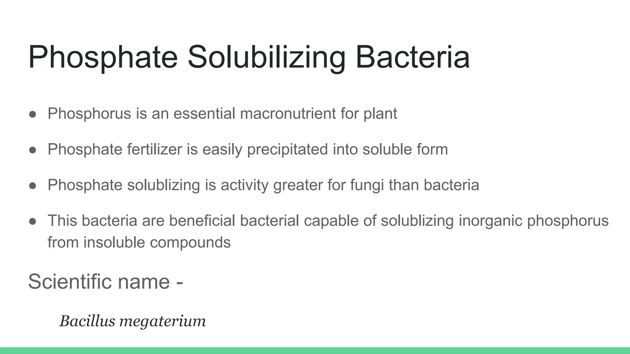 Microorganisms used in biofertilizers | PPTX