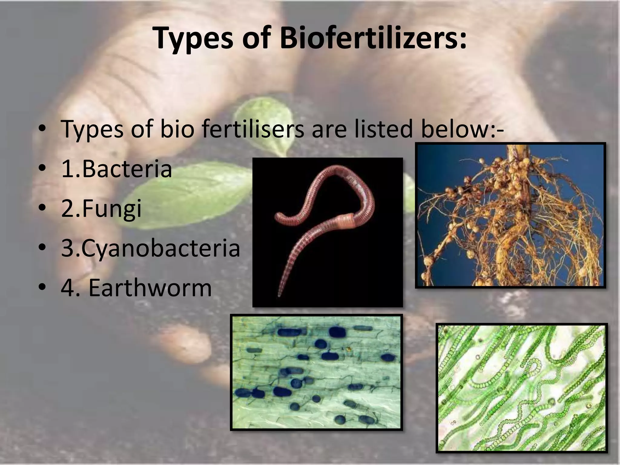 Bio fertilizers , DEFINITION, TYPES ,ADVANTAGES AND DISADVANTAGES. | PPTX
