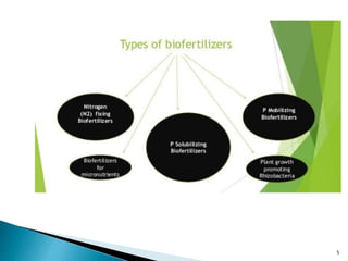 Biofertilizers | PPT
