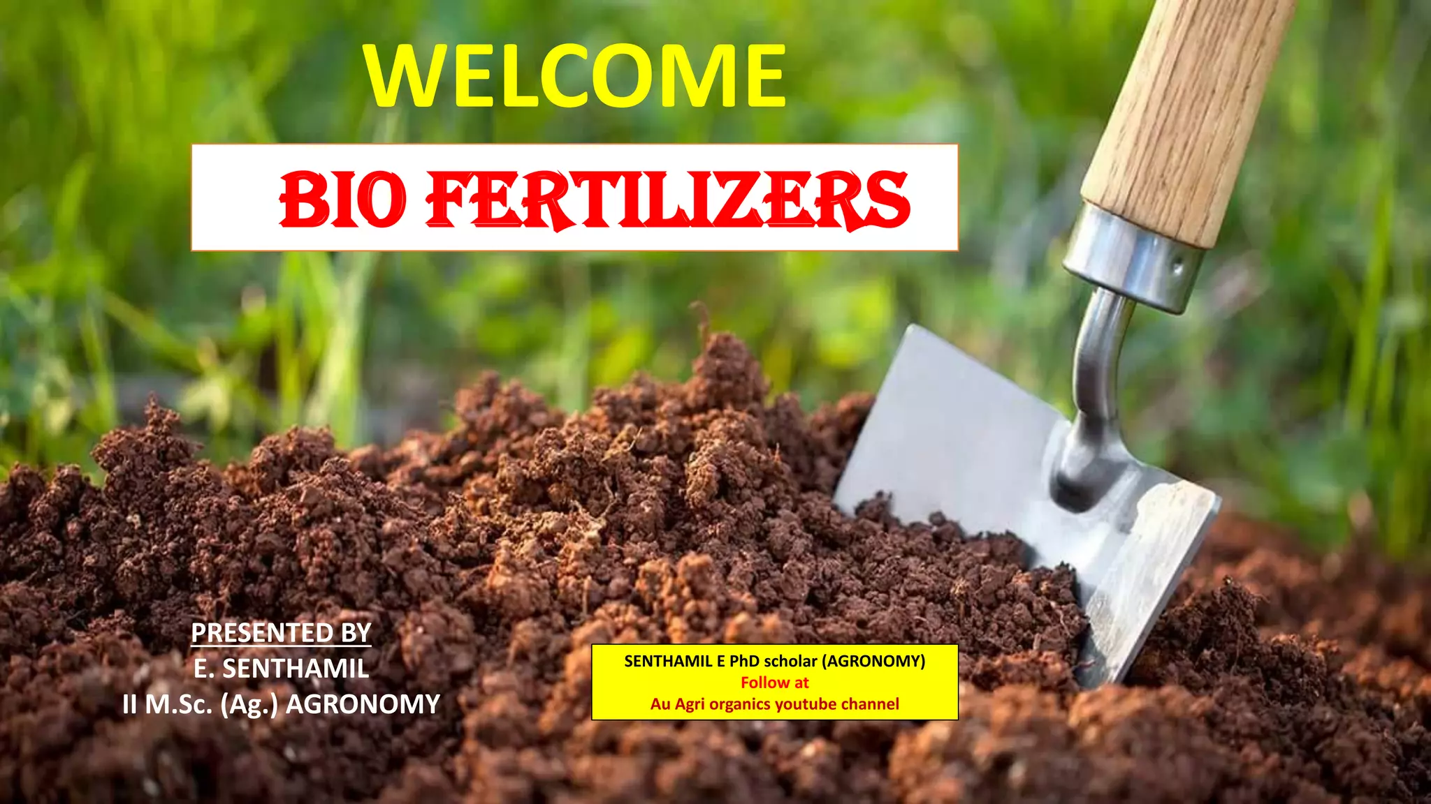 BIO FERTILIZERS.pdf