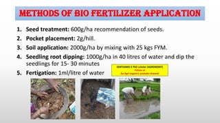 BIO FERTILIZERS.pdf