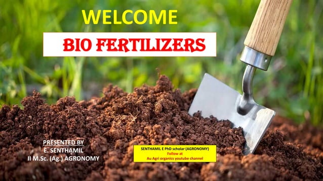 BIO FERTILIZERS.pdf