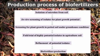 BioFertilizers.pptx
