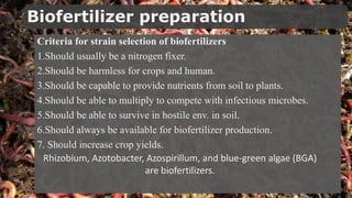 BioFertilizers.pptx