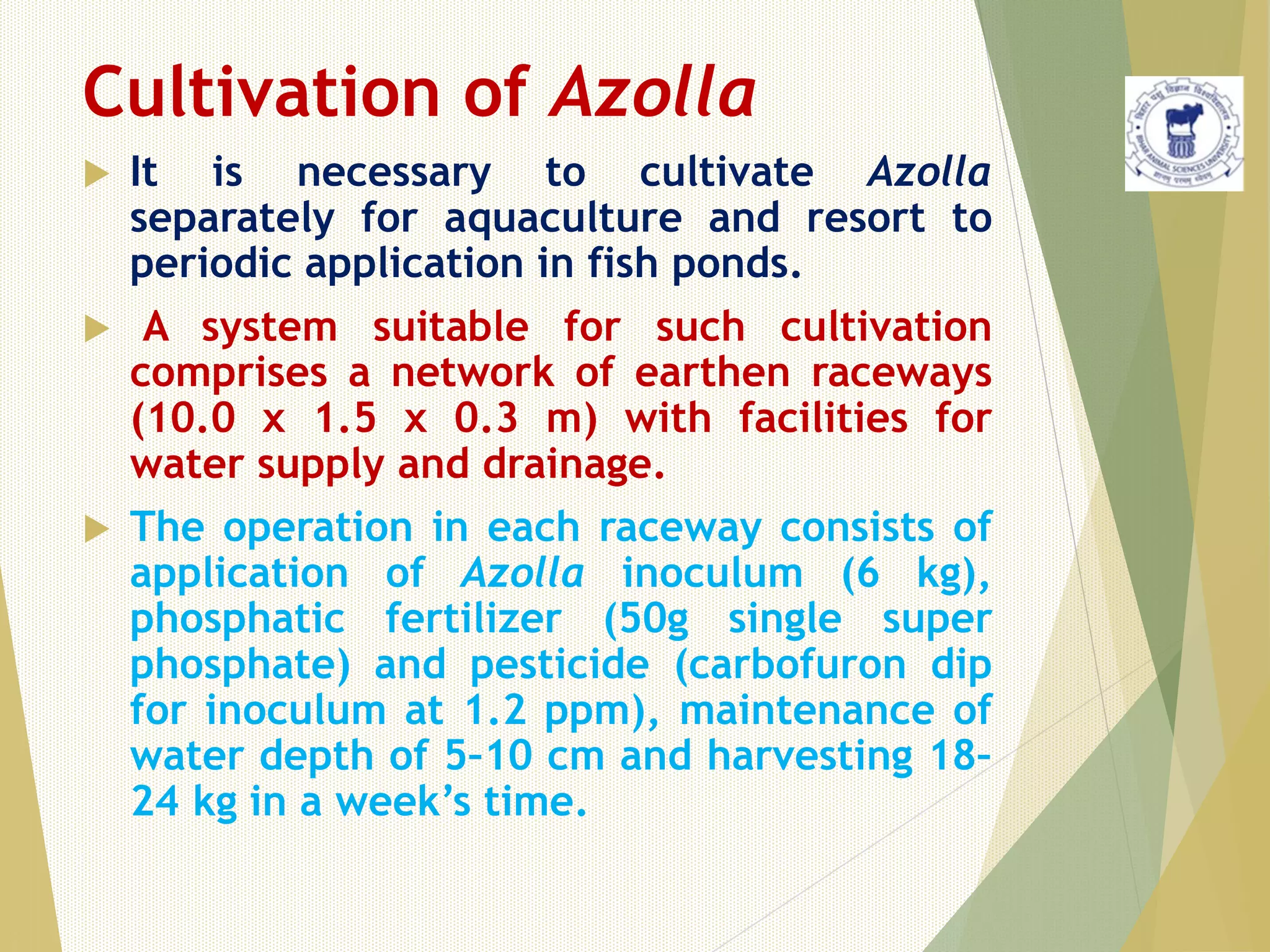 BIOFERTILIZERS (AZOLLA FARMING) | PDF