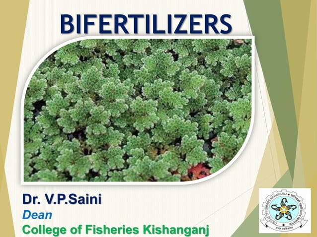 BIOFERTILIZERS (AZOLLA FARMING) | PDF | Agriculture | Industries