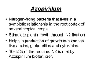 Biofertilizers.ppt
