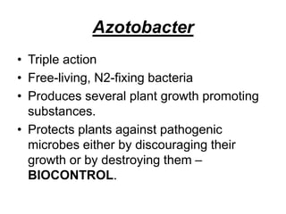 Biofertilizers.ppt | Gardening | Home & Garden