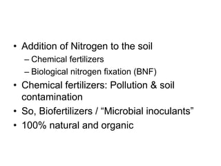 Biofertilizers.ppt