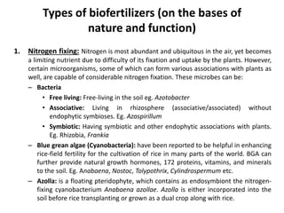 Biofertilizers.pdf