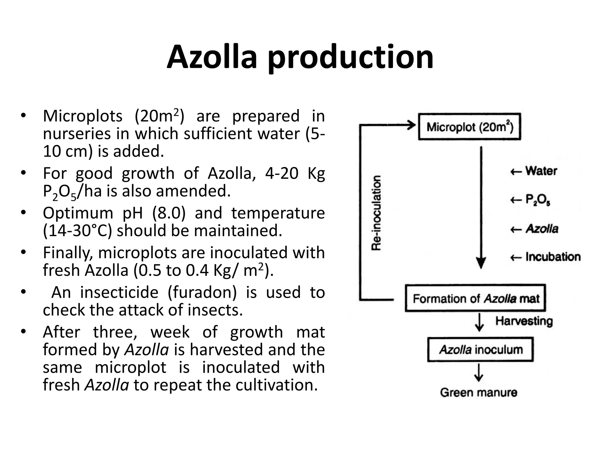 Biofertilizers types and application .pdf