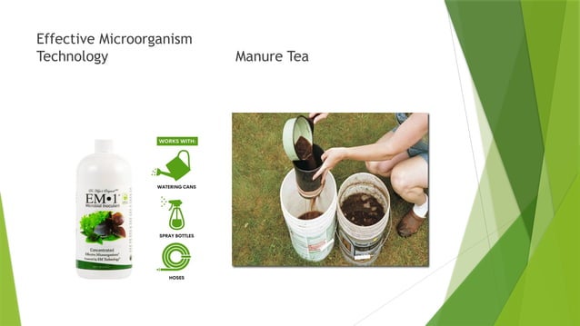 BioFertilizers lmao. What else you need to knw? | PPTX