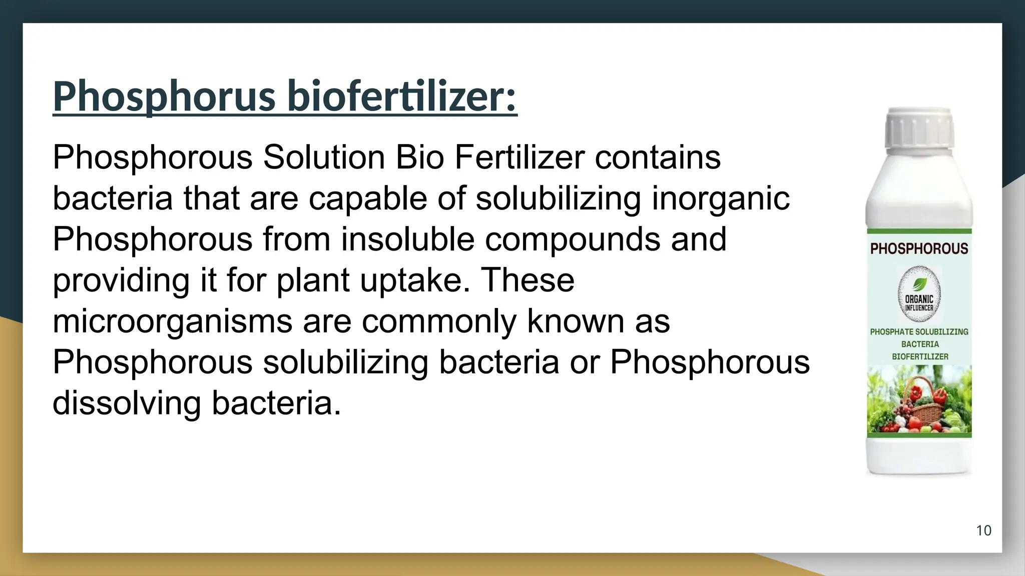 About Biofertilizers Their Uses Pptx