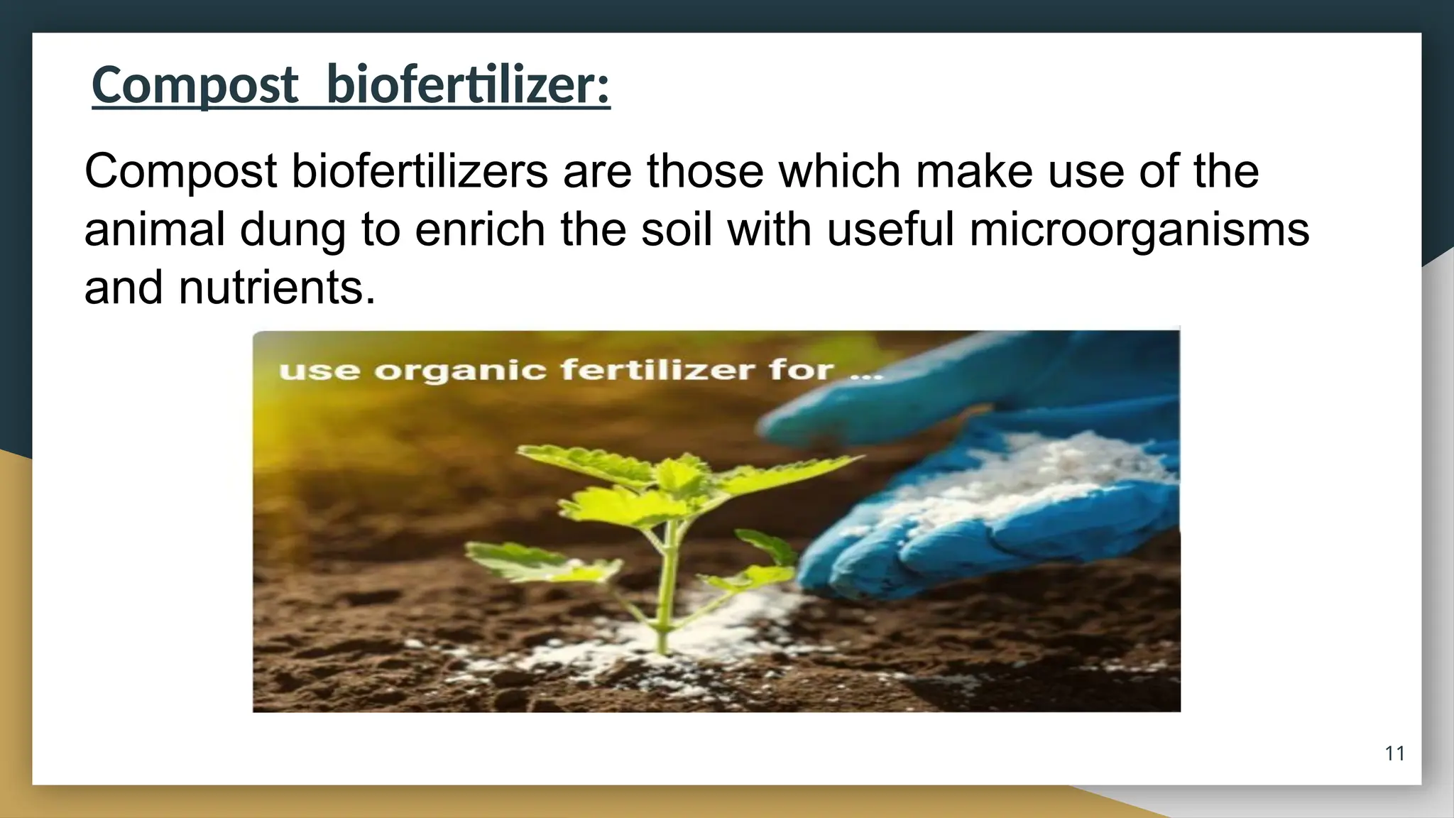 About Biofertilizers - their uses, .pptx