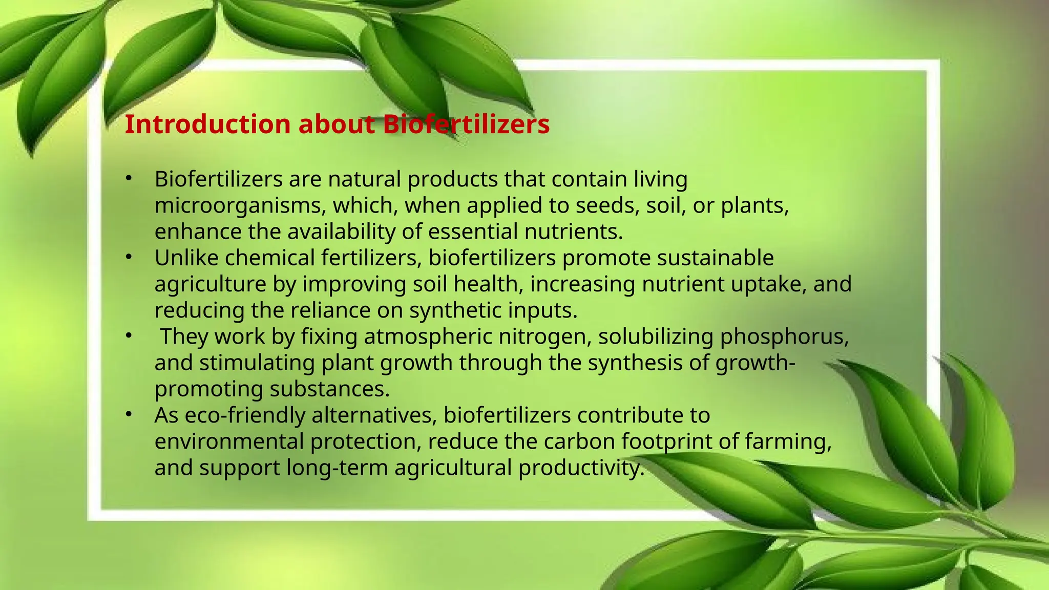 Biofertilizers -storage, quality control,marketing.pptx