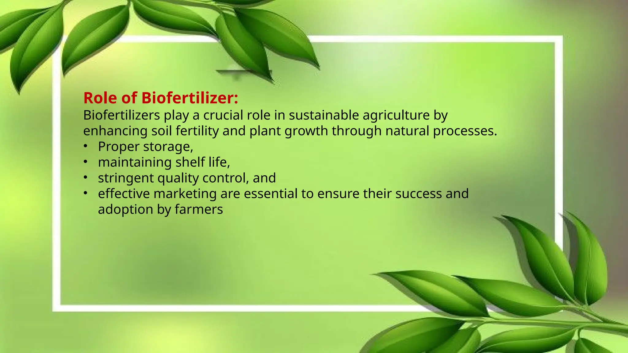 Biofertilizers -storage, quality control,marketing.pptx