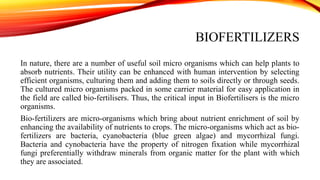 Biofertilizers.pptx fghbghjhbhhhhgggvbbgg | PPT