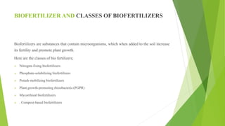 Biofertilizers- Classes, Types.pptx