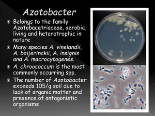 Biofertilizers organic farming | PPTX