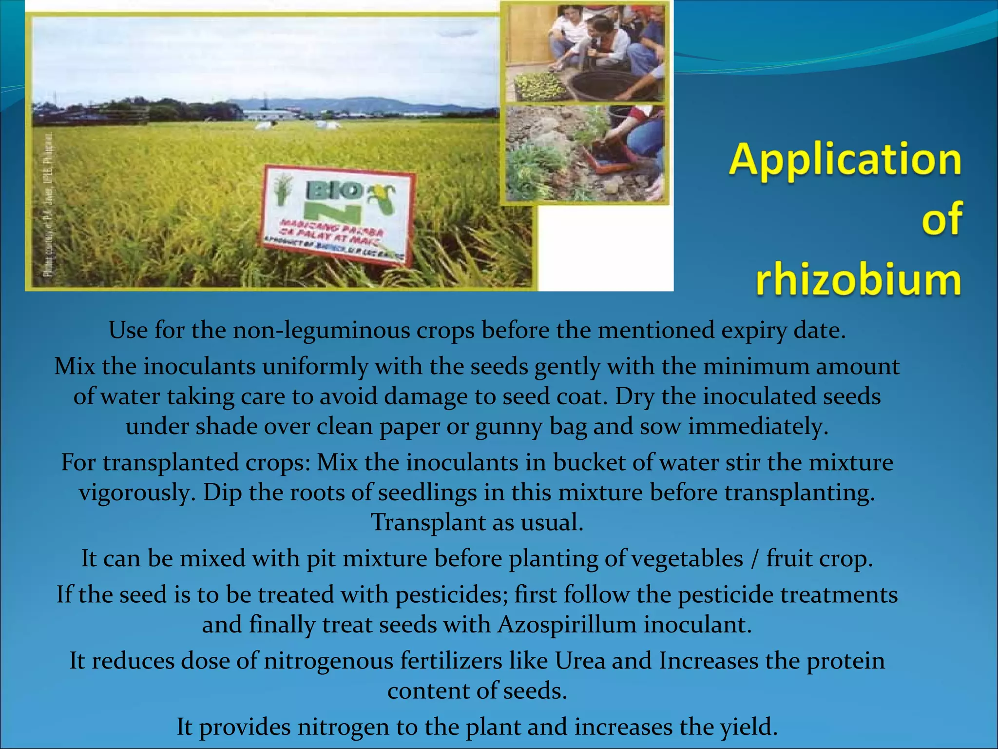 Production of Biofertilizers | PPT